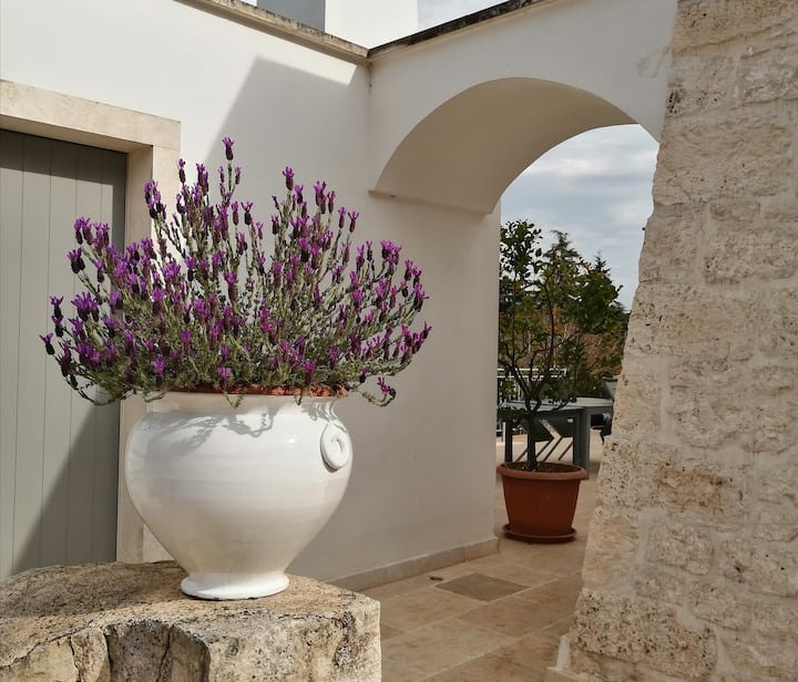 Appartamento In Campagna - Apulia