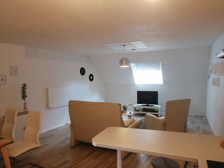Wohnung Stadtnah, Naturnah, 25min  Bis Europapark - Lahr/Schwarzwald