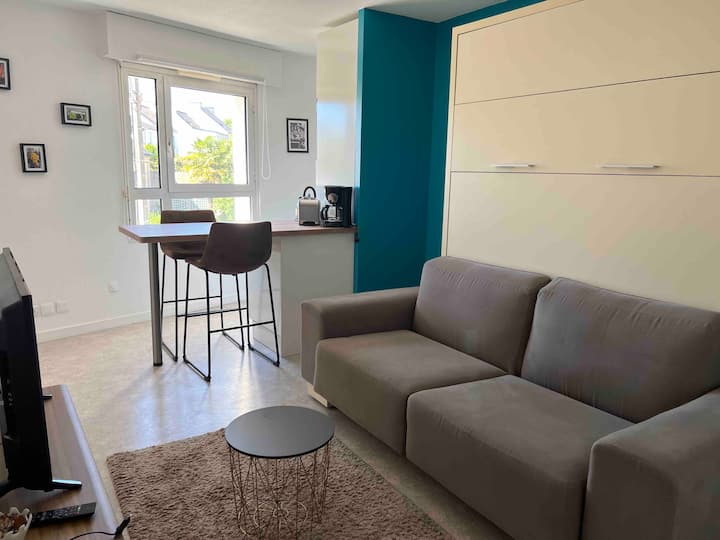 Agréable Studio Situé Dans L'hyper Centre D'auray - Baden