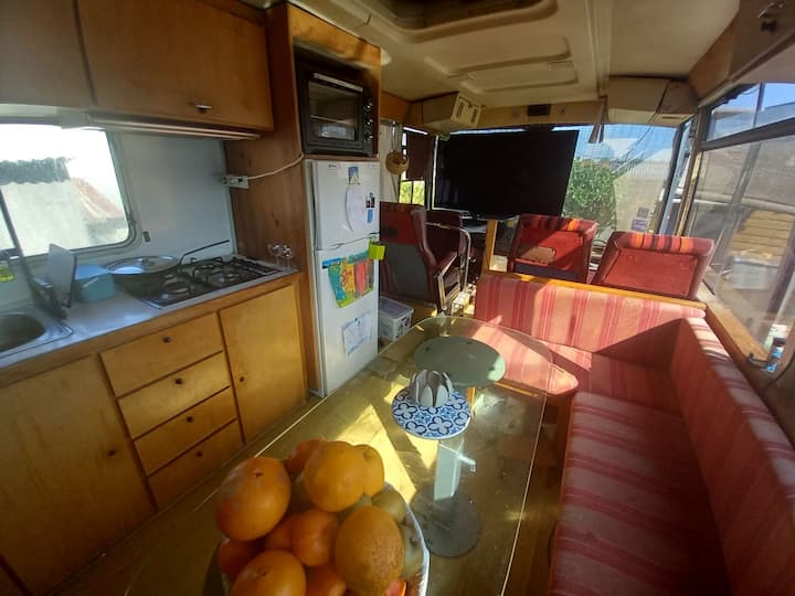 Plantez Votre Tente Sous Les éToiles - Golegã