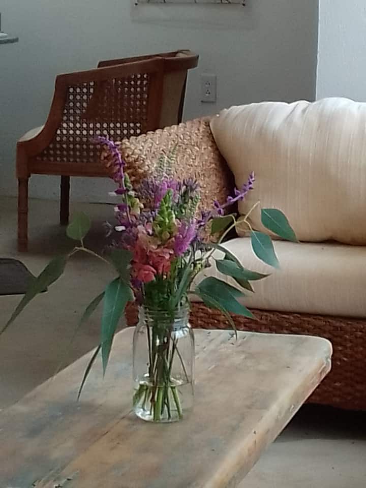 Vintage Chic Cottage, Casalisa - Todos Santos
