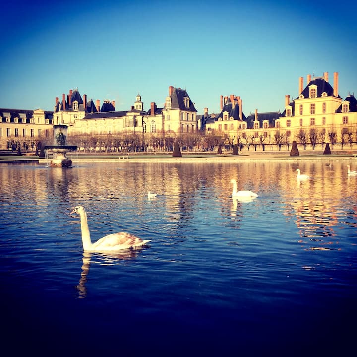 Maison Calme & Spacieuse à Fontainebleau - Fontainebleau