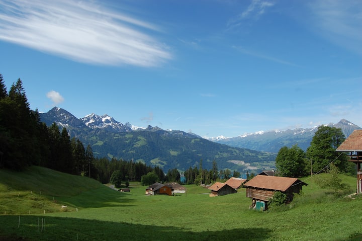 Apartments The Sun Terrace Of The Bernese Oberland - Sigriswil