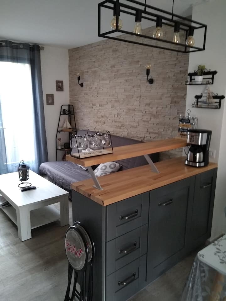 Charmante Petite Villa Au Bord De L'étang De Thau - Marseillan
