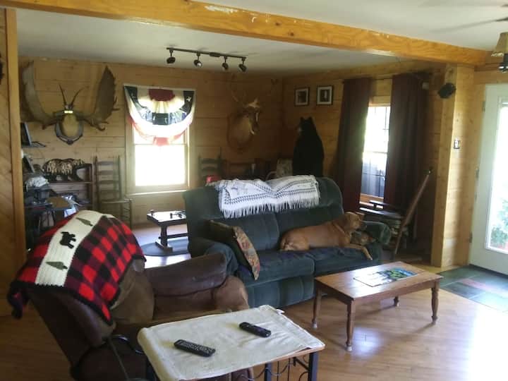 100 Acre Wood - Willoughby State Forest, Sutton