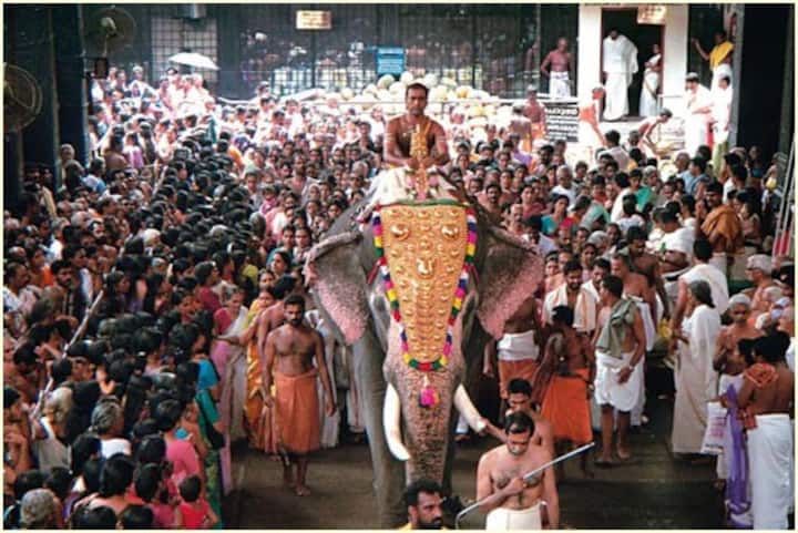 Krishna Gardens - A Unique Experience In Guruvayur - Guruvayur