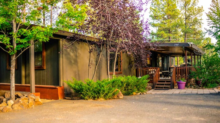 Fenced In For Pets, Pack N Play, Work Monitors! - Munds Park, AZ