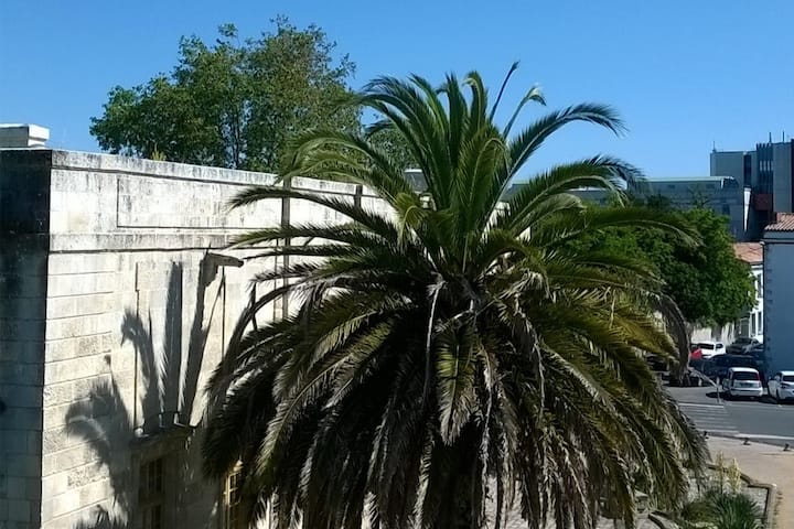 Les Palmiers T2 Grand Standing Hypercentre - Île de Ré