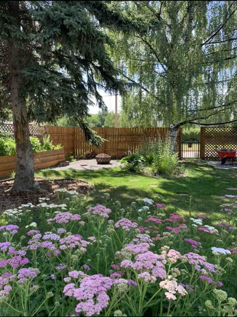 Prince George Vacation Rentals & Homes - British Columbia, Canada | Airbnb