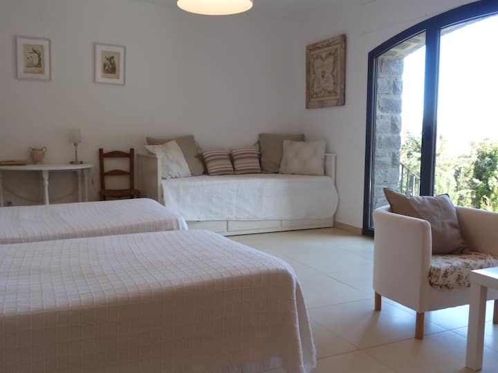 Espaciosa Habitación Con Baño+jardín, Junto A Jaca - Jaca