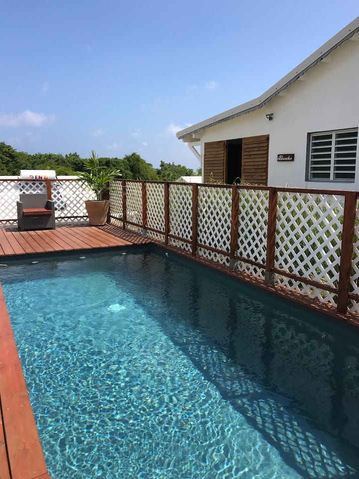 Charlotte  Les Aloes By Kreyol Animal Studio - Marie-Galante