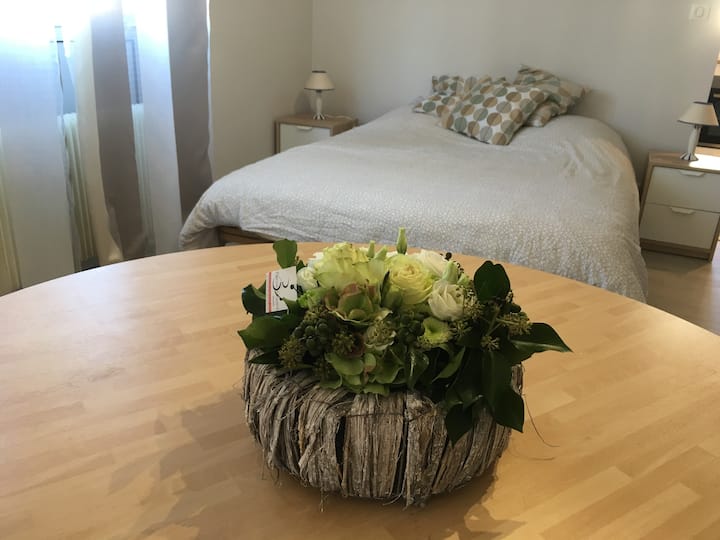 Studio 4pers Terrasse Centre Ville Quartier Europe - Strasbourg