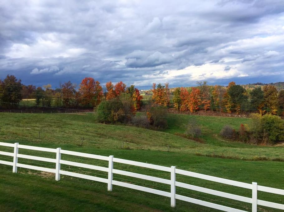 Breathtaking view, gorgeous home, 2 kitchens - Houses for Rent in ...