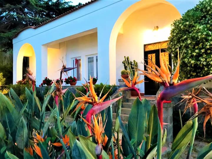 Ischia B&b "Villa Antica" Camera Dependance - Ischia