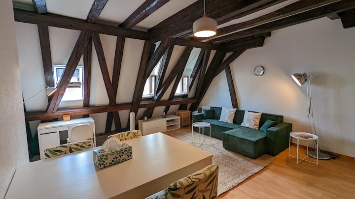 Carré D'or : Hypercentre à Strasbourg - Estrasburgo