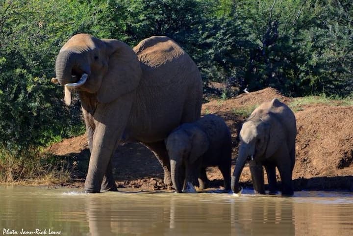 Swartklip Holiday Rentals & Homes - Limpopo, South Africa | Airbnb