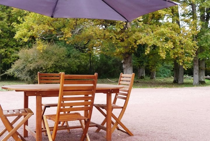 Grand Gîte 2/5 Pers. Au Domaine Du Chesne - Salbris