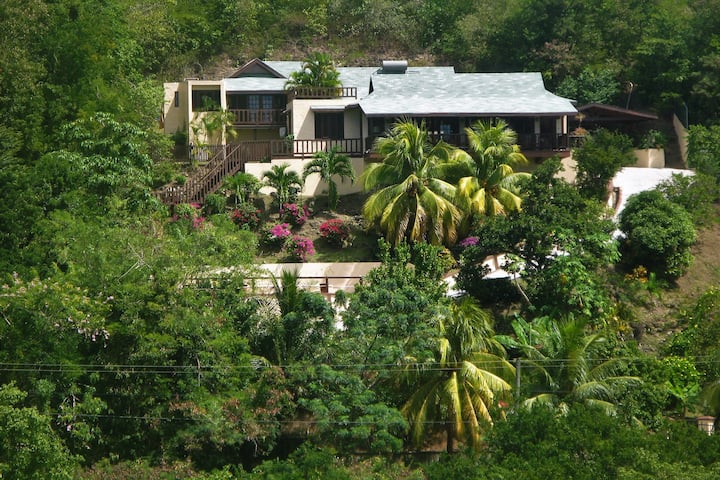 Villa Moringa - 세인트루시아