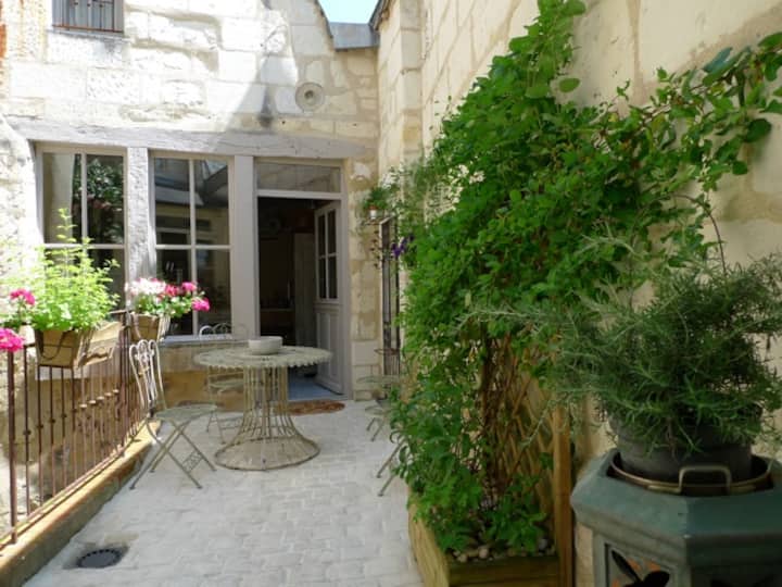 Gite Nuance A 3 Km Du Zoo De Beauval - Saint-Aignan