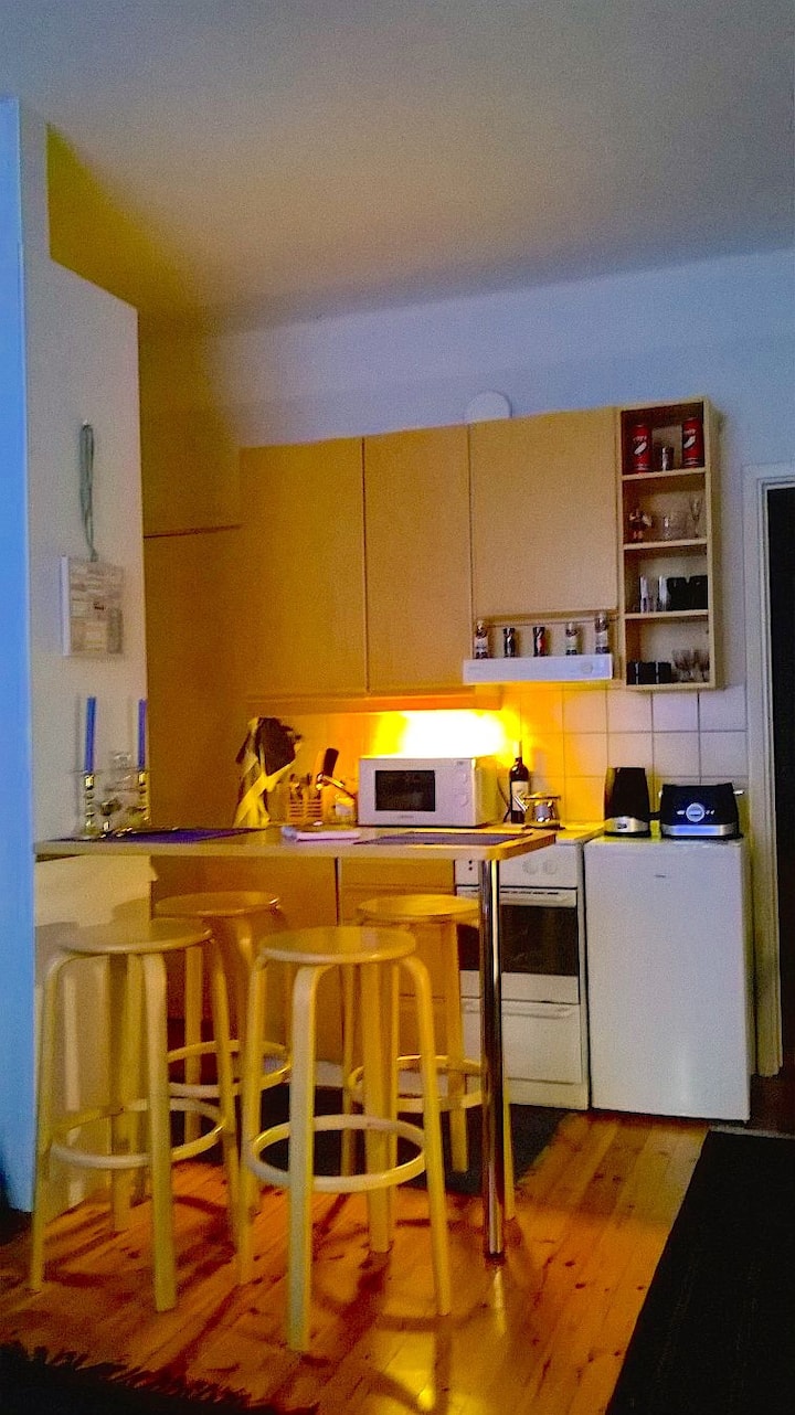 Cosy Apartment In The Heart Of Helsinki - 헬싱키
