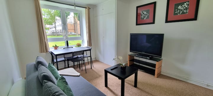 Lovely Apartment In Bermondsey - Greenwich