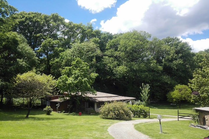 A Wonderful Retreat Near The Lake: Casa Melo - Bracciano