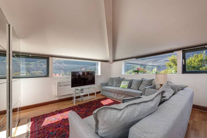 Agriturismo Swissalpine - Splendido Attico - Bellinzona