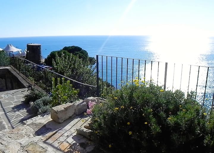 Tranquil Cinque Terre Villa With Amazing Sea Views - Riomaggiore