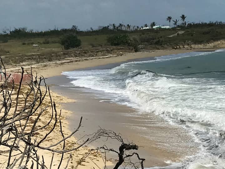 "The Magnificent Margarita By The Sea" - U.S. Virgin Islands