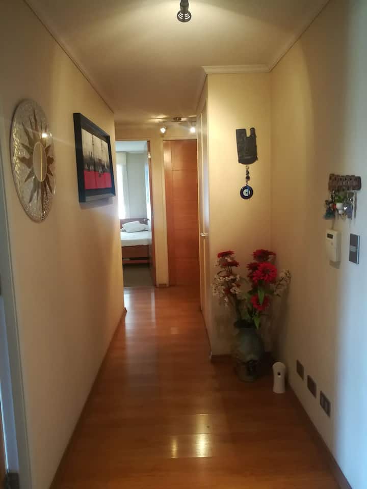 Habitacion Tranquila Iluminada - Providencia