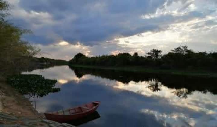 Contacto Con La Naturaleza. - San Pedro