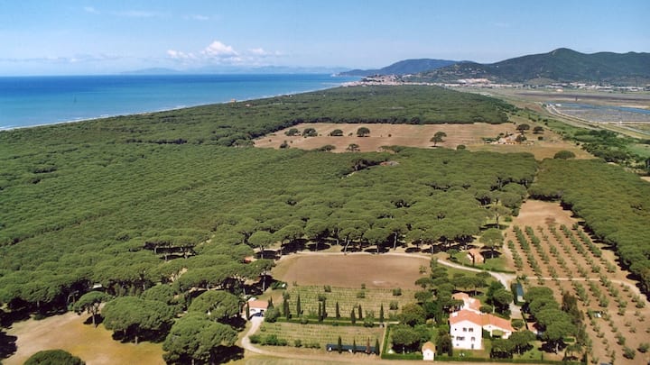 Natura, Silenzio, Relax In Maremma Sul Mare - Castiglione della Pescaia