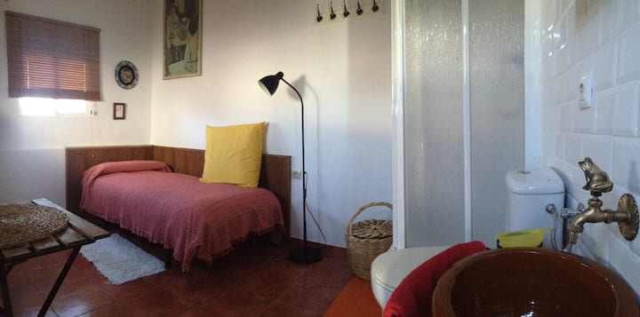 Room With A View On Roof. - Sevilla, España
