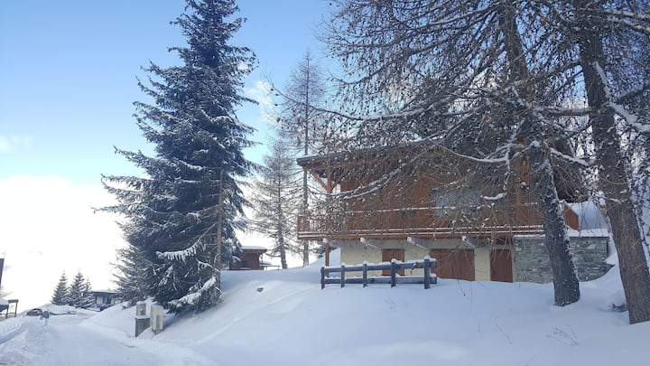Rdc Privé De 50m2 Dans Chalet à Peisey Vallandry - Peisey-Nancroix