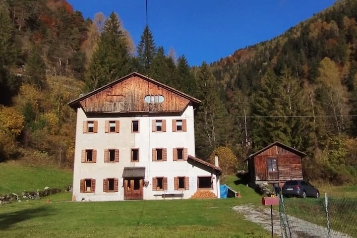 Valle Di Cadore Relax Chalet 
Codice Z00902 - Pieve di Cadore
