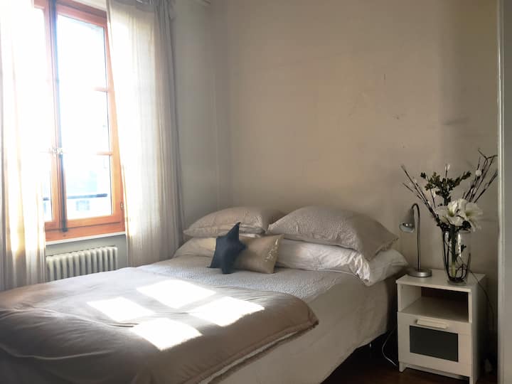 Central Room Near Trains/un. - Geneva