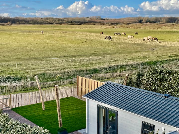 Chalet Tulpen & Duinen - Wassenaar - Strand - Wassenaar