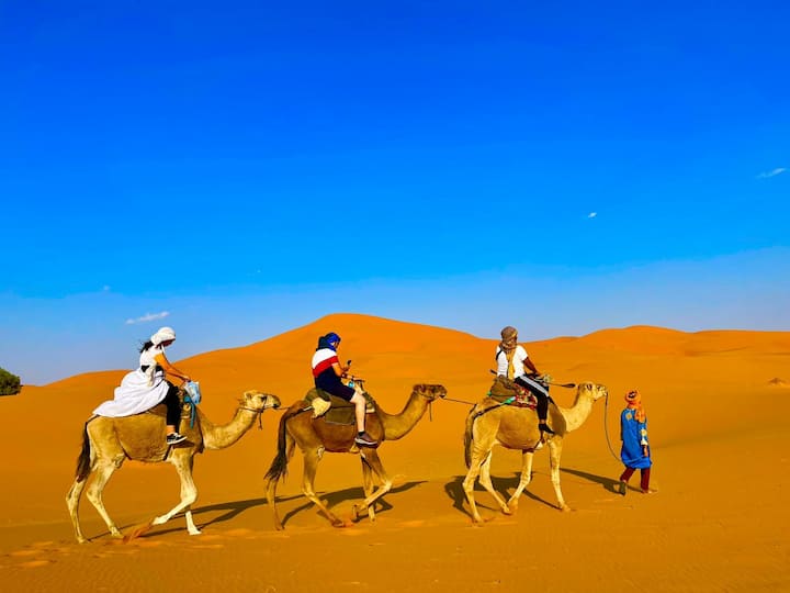 Overnight Camel Trek 🐪⛺ - Marocco