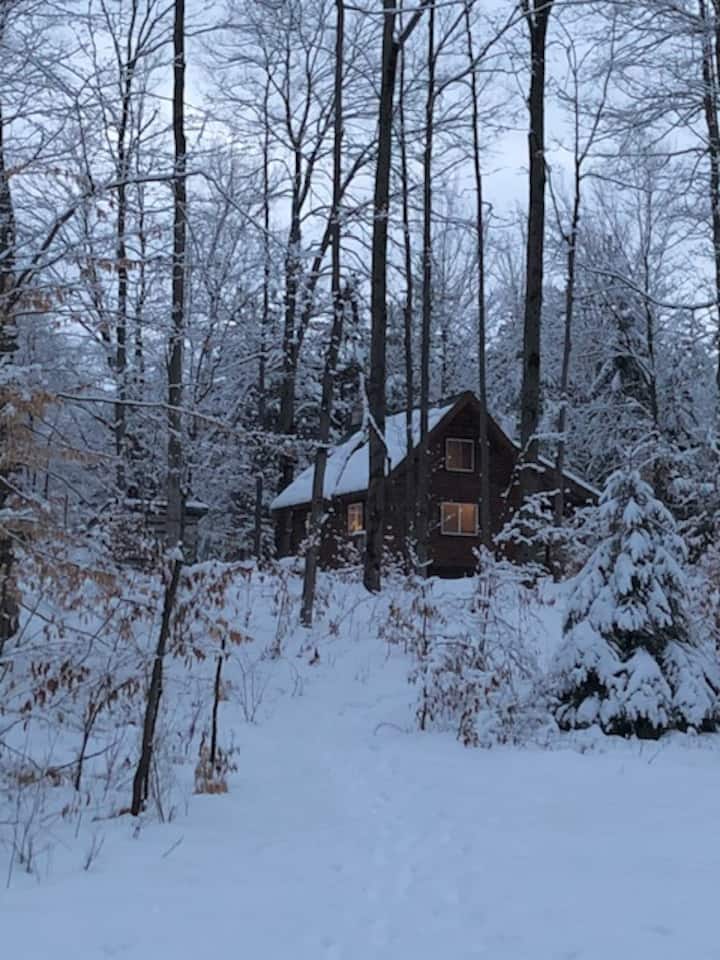 Gabriel's Cabin In The Woods - Tustin, MI