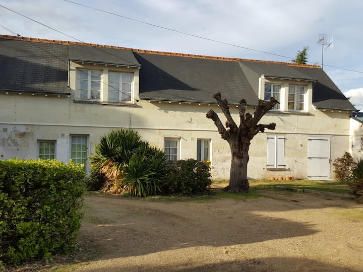 Gite Gaia, Pour Professionnels Et Vacanciers - Bourgueil
