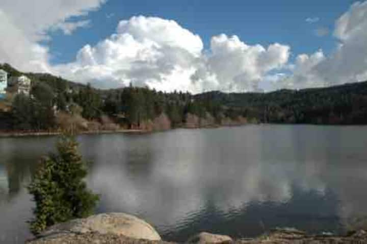 Arrowhead Treehouse; Game & Movie Room - Lake Arrowhead, CA