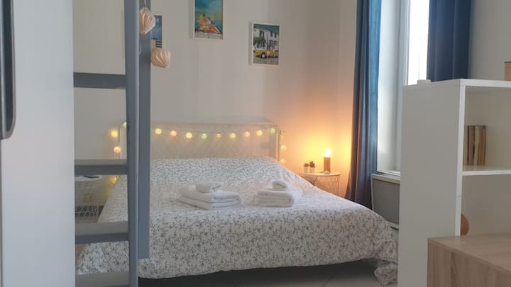 Studio Hypercentre 30m2 Pour 4 Personnes - Charente-Maritime