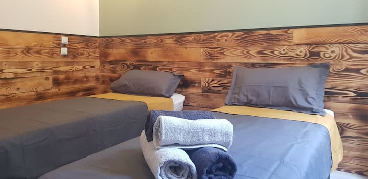 Proche Sanctuaire , Chambre 3 :Douche Et Wc Privés - Lourdes