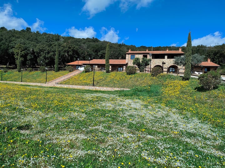 Natura Animali Bike Animali Per Lunghi Periodi - Massa Marittima