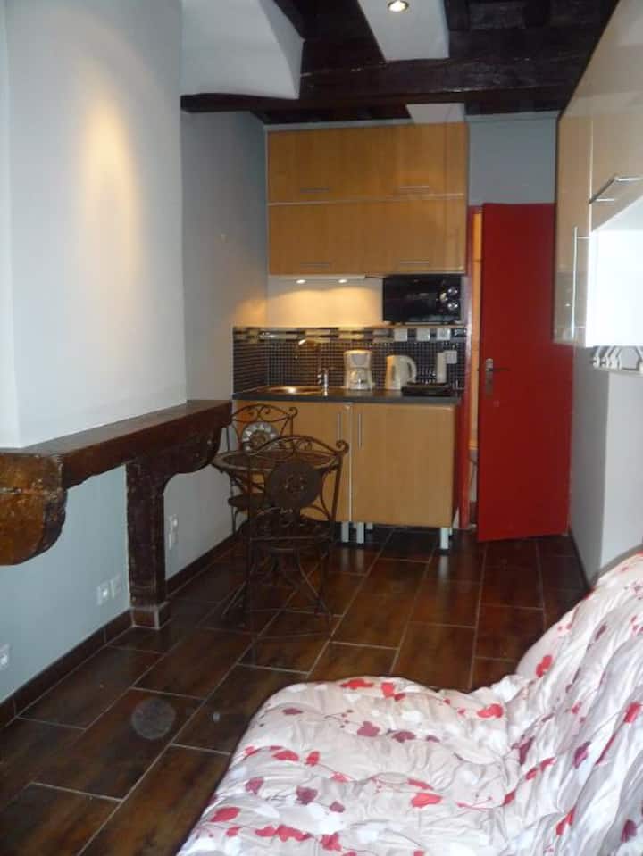 Studio Calme Lyon Centre Historique - Lione