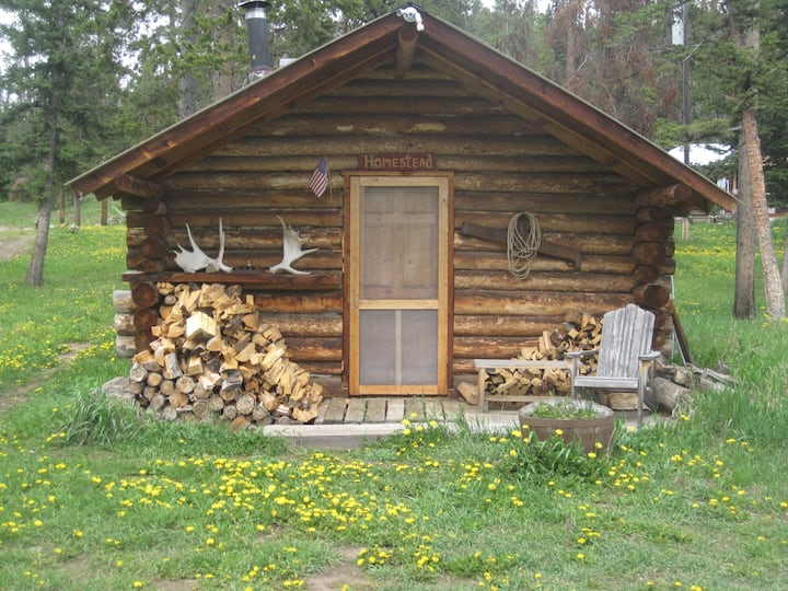 Homestead Cabin Experience - Gardiner, MT