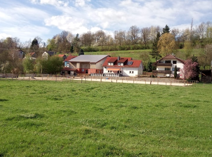 Großzügige Ferienwohnung 110qm Auf Pferdehof - Wasserkuppe