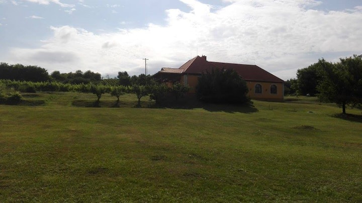 Paplak Vendégház - Balatonboglár