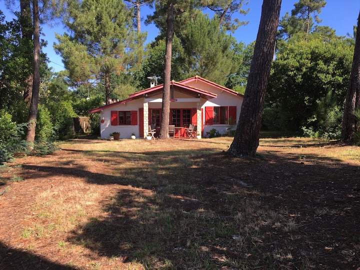 Délicieuse Villa Vacances Famille Petit-piquey - Cap Ferret