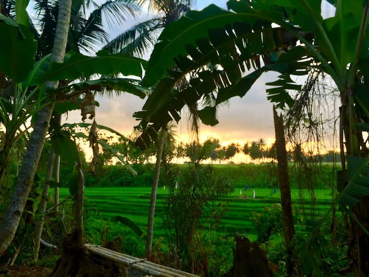 Lasan Mas 4 - Bali